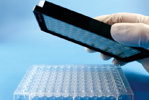 Nacalai USA, Inc. | Product | Centrifugal Filtration Plates for 96-well ...