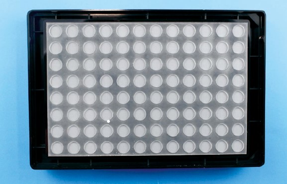 Nacalai USA, Inc. | Product | Centrifugal Filtration Plates for 96-well ...