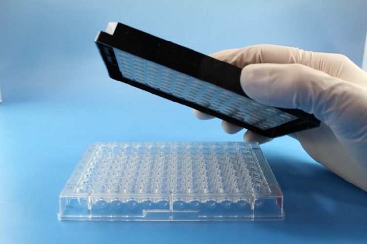 Nacalai USA, Inc. | Product | Centrifugal Filtration Plates for 96-well ...