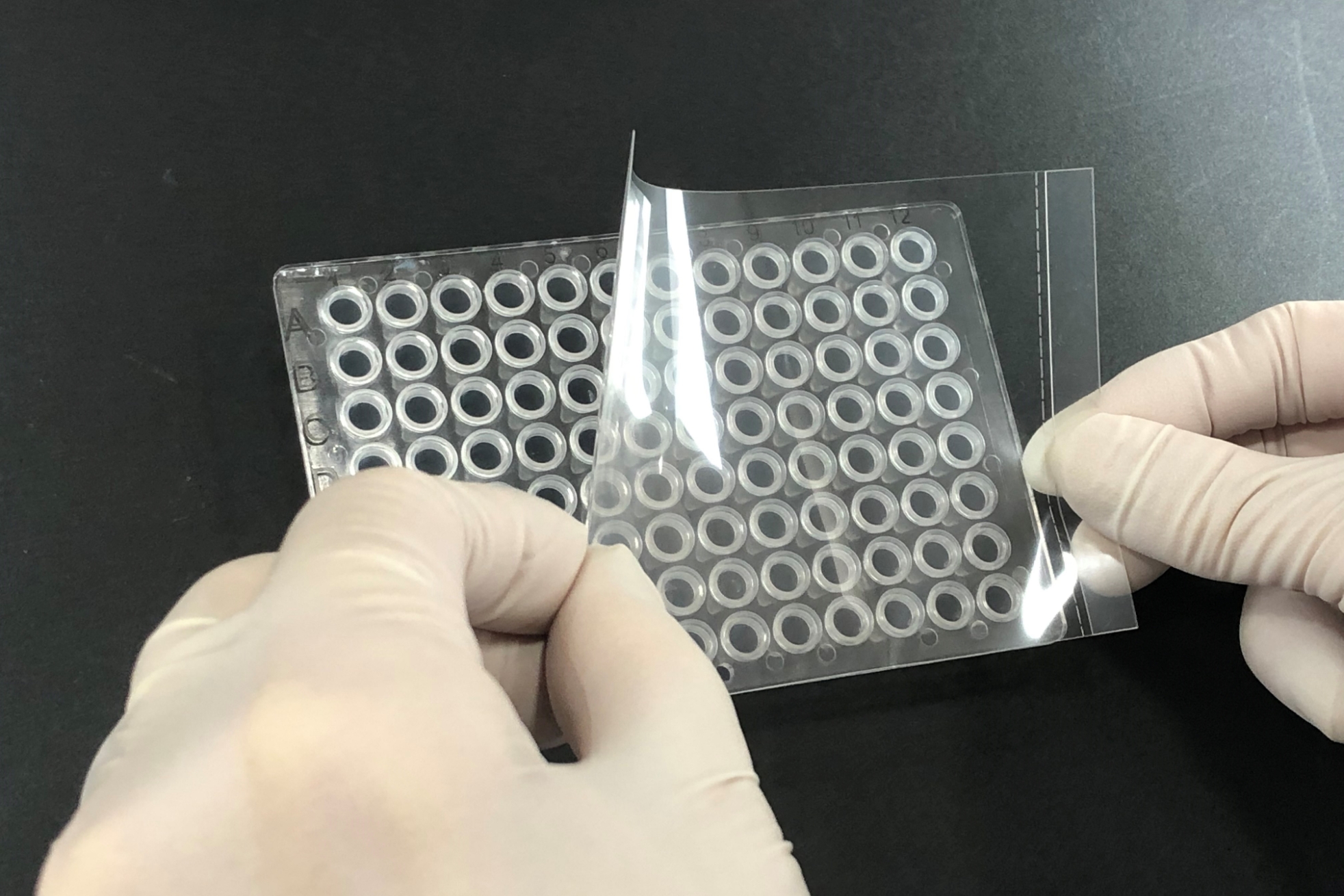 Nacalai USA, Inc. | Product | Microplate Clear Seal for Real-time PCR