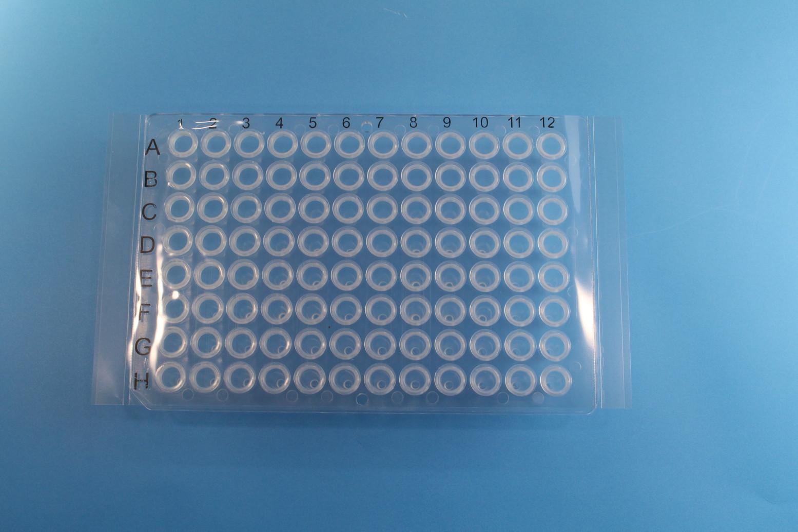 Nacalai USA, Inc. | Product | Microplate Clear Seal for Real-time PCR
