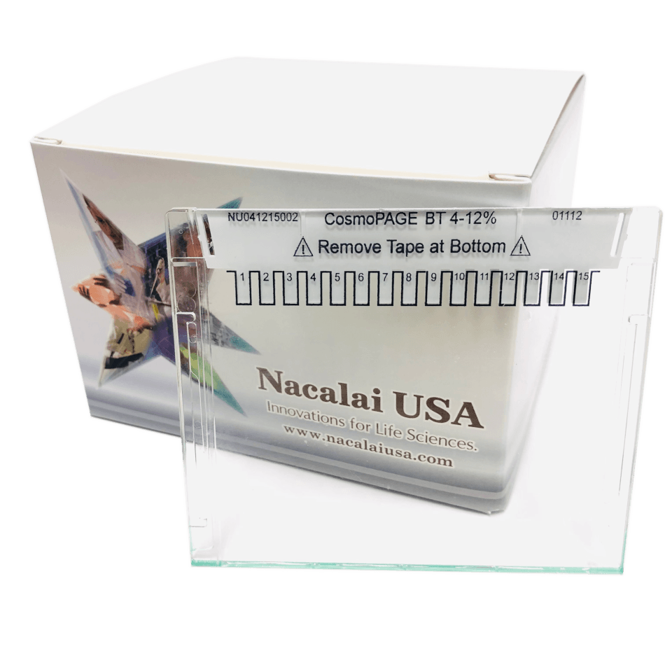 CosmoPAGE TG (Tris-Glycine) Precast Gel 10 %, 15 wells - 2BScientific