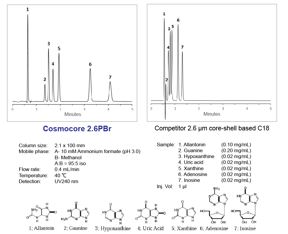 Nacalai USA, Inc. | Product | COSMOCORE 2.6PBr
